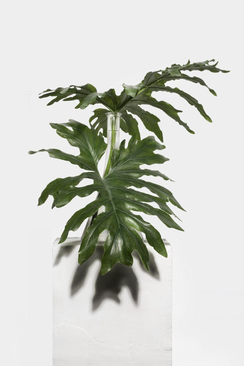 Shop All – Overose